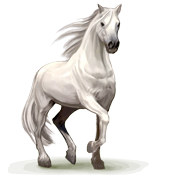 PLP - Primary Learning Program