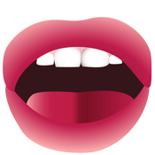 PLP - Primary Learning Program