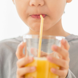 PLP - Primary Learning Program