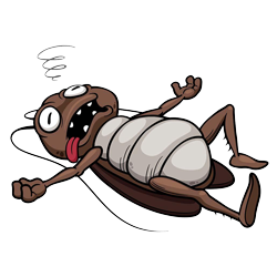 PLP - Primary Learning Program