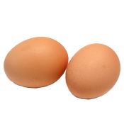 PLP - Primary Learning Program