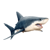 PLP - Primary Learning Program