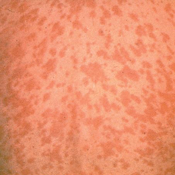 PLP - Primary Learning Program