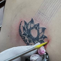 PLP - Primary Learning Program