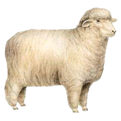 PLP - Primary Learning Program