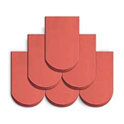 PLP - Primary Learning Program