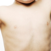 PLP - Primary Learning Program