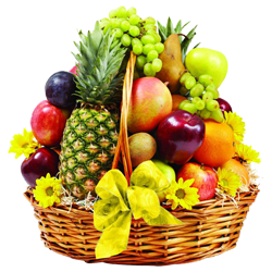 PLP - Primary Learning Program