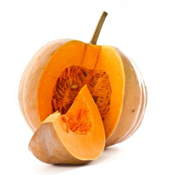 PLP - Primary Learning Program