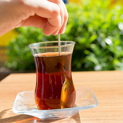 PLP - Primary Learning Program