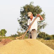 PLP - Primary Learning Program