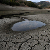 PLP - Primary Learning Program