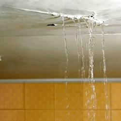 PLP - Primary Learning Program