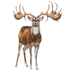 PLP - Primary Learning Program