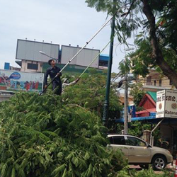 PLP - Primary Learning Program