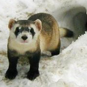 PLP - Primary Learning Program